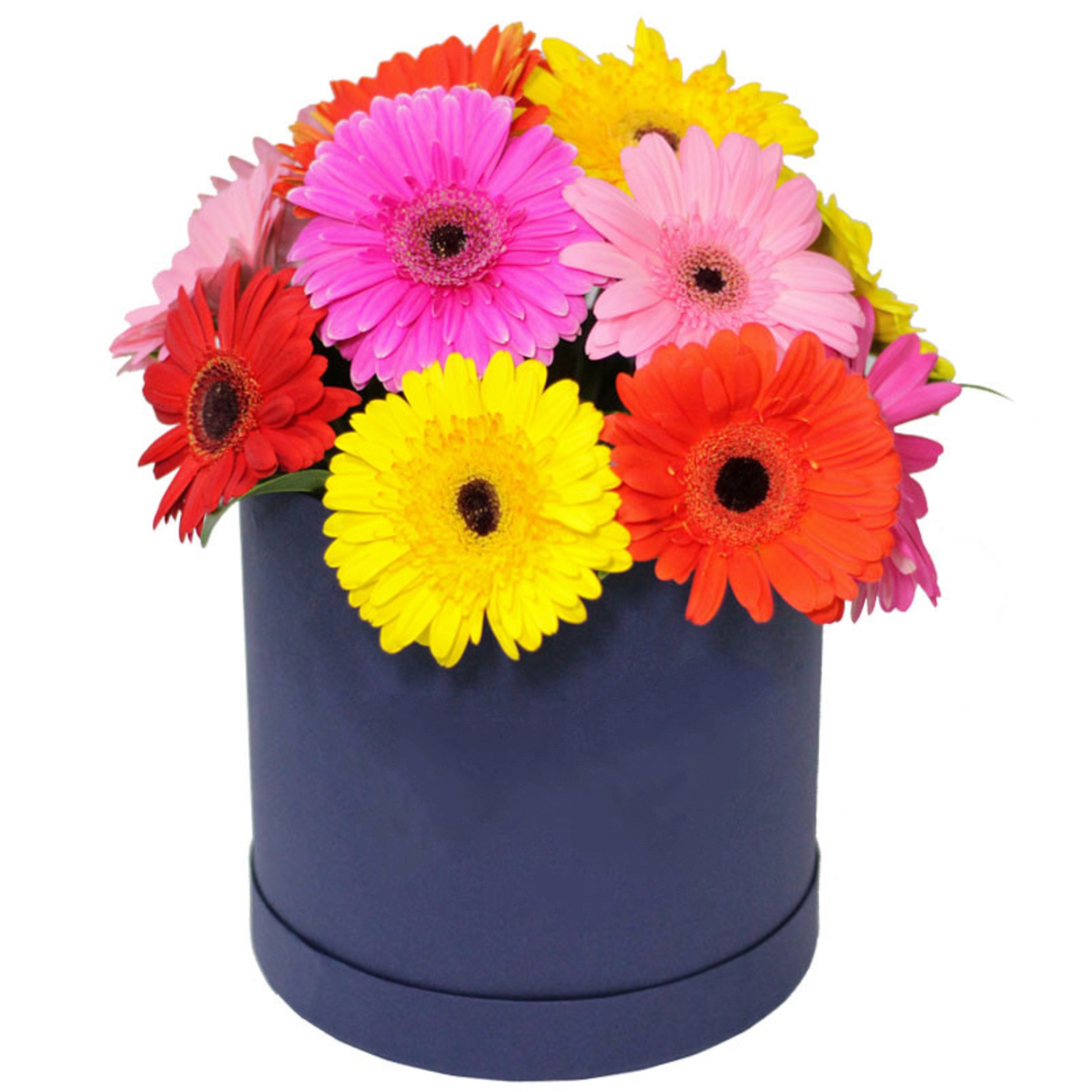 Box de Gerberas mixtas - Arreglos a Domicilio